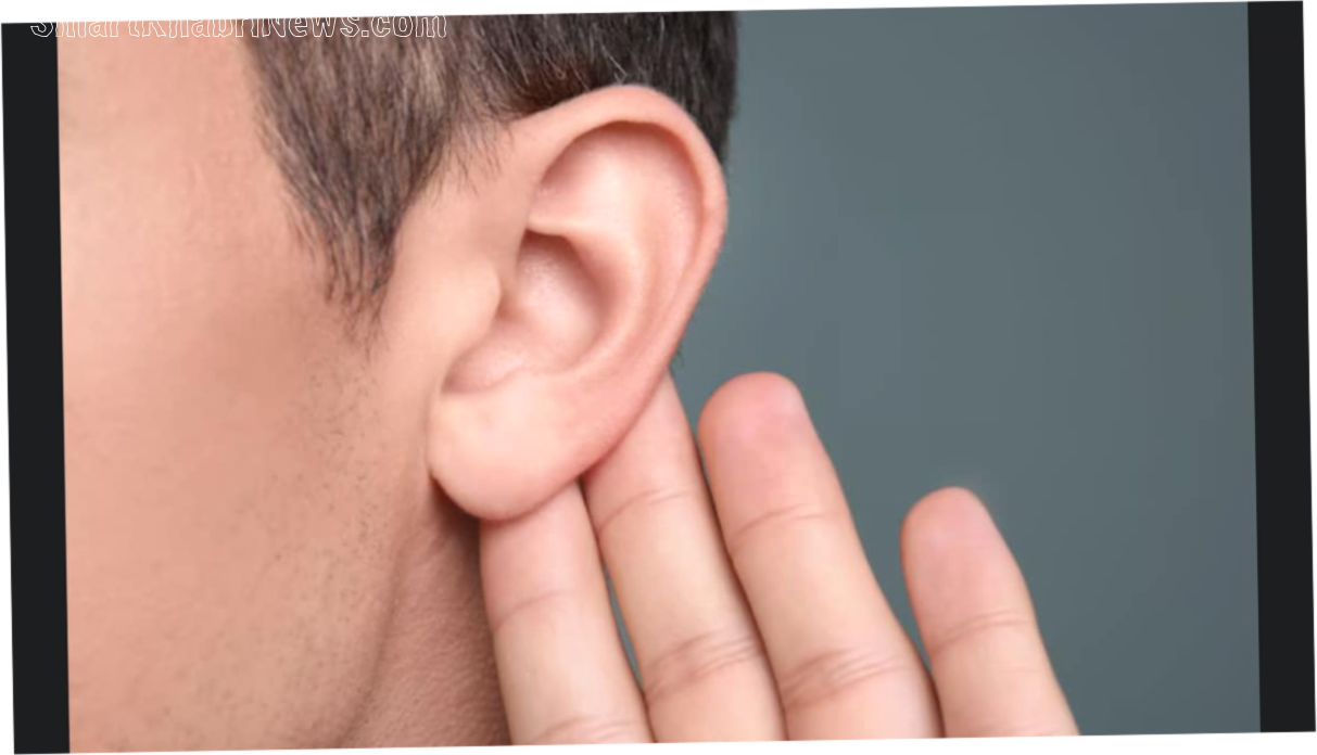 Hearing Loss on the Rise: WHO Sounds Alarm on Global Trends and ...